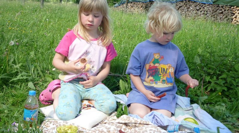 Meriendas de picnic: cómo hacer una merienda al aire libre con niños